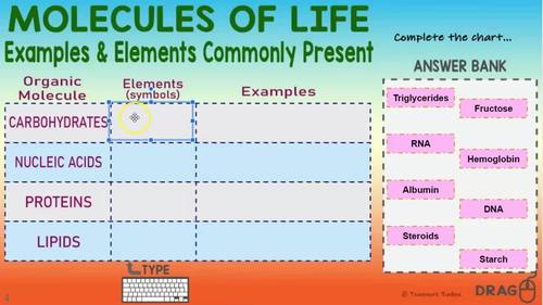 MOLECULES OF LIFE ~BIOLOGY & ANATOMY~ Digital Resource for Google Slides