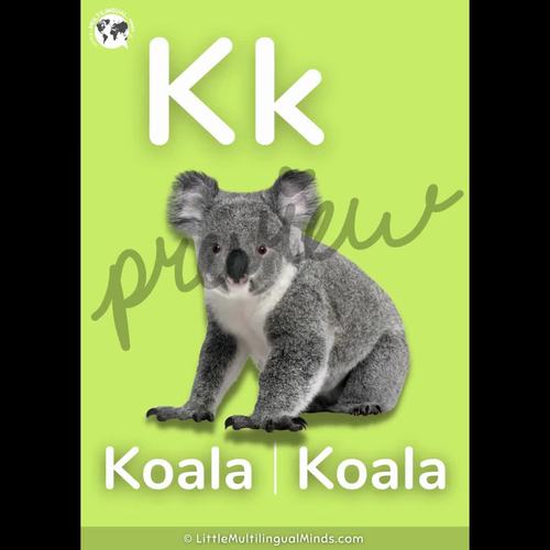 Alfabeto: Spanish Alphabet Flashcards, Posters, Word Wall (Real Photos)