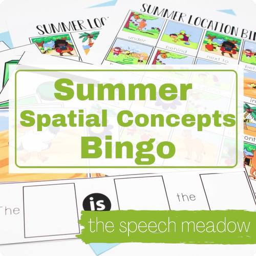 Summer Spatial Concepts Bingo by The Speech Meadow | TpT