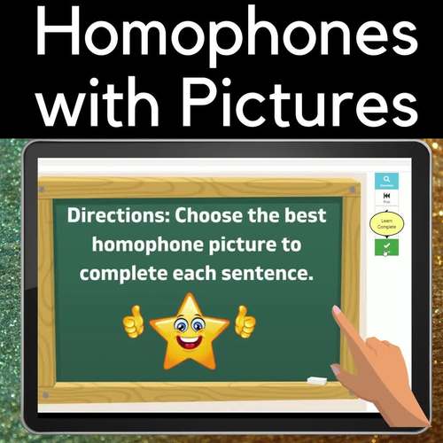 Homophones with pictures Boom Cards by Hands on Learning LLC | TpT