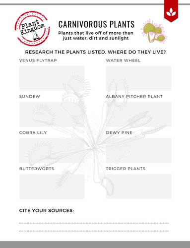 The Plant Kingdom Internet Research Worksheets for Middle and High School