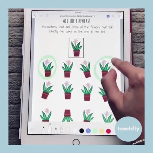 Visual Perception WORKBOOK by Teachfly | TPT