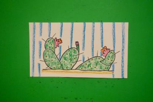 Let's Draw Flowering Cacti! by Patty Fernandez Artist | TPT