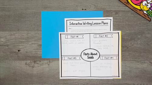 Snails Craft Interactive Writing Activity Kindergarten First Grade ...