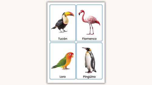 Spanish Birds Flashcards | Printable Spanish Vocabulary Cards by Savvy ...