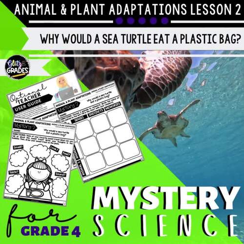 Mystery Science 4th Grade SUPPLEMENT Animal & Plant Adaptations Lesson ...