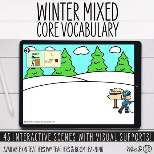 Winter Core Vocabulary AAC Functional Early Language BOOM CARDS™ by ...
