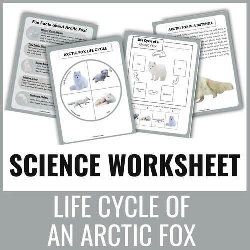 Life Cycle of an Arctic Fox Worksheet- Winter Animal Science Unit Study