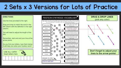 PRINT & DIGITAL-Protein Synthesis Vocabulary Activity-Great for ELL!