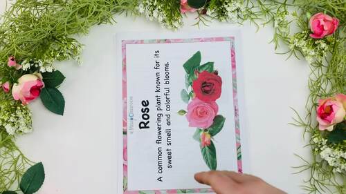 Spring Rose Flower Nonfiction Reading Text Feature RI.2.5 Task Card 2nd ...