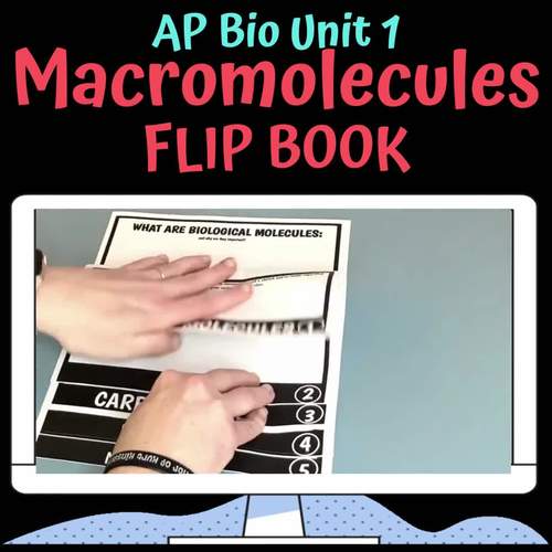 Macromolecules in Biology Flip Book by Science with Cara | TpT