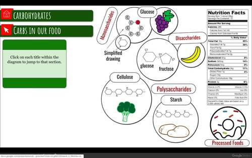 Carbohydrates Interactive Diagram by Science With Mrs Lau | TPT
