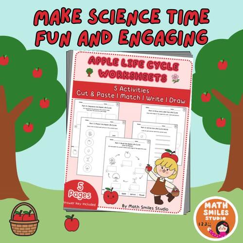 Apple Life Cycle Worksheets | Cut & Paste, Match, Sequence & Write | K ...