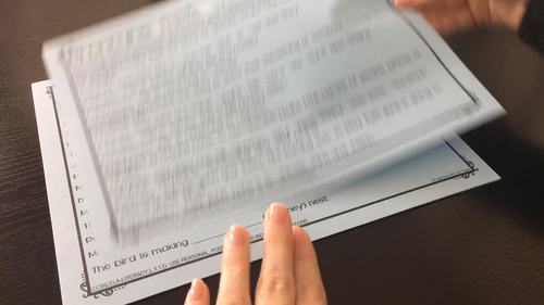 First Grade Personal, Possessive & Indefinite Pronouns L.1.1D w/ Easel ...