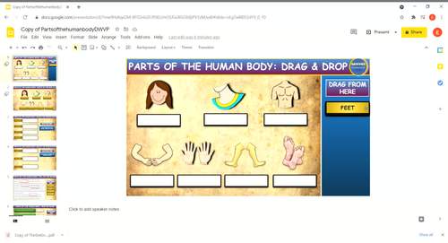 The Human Body: Drag & Drop Worksheet: Google Slides. Powerpoint