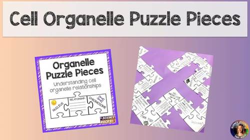 Cell Organelle Puzzle Piece Activity | Identifying organelle relationships