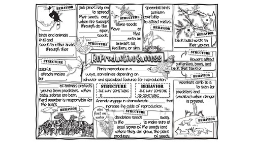 Reproductive Success Doodle Notes & Quiz + PowerPoint | TPT