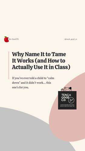 Name It to Tame It - Posters for everyday emotions by Teach Good Co ...