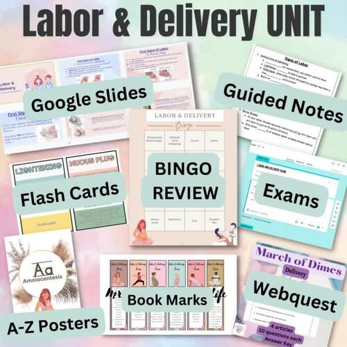 Labor and Delivery Unit Bundle: Slides, notes, test, flash cards, BINGO ...