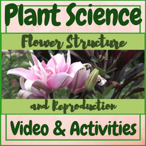 Plant Science Flower Structure And Reproduction Video Activities 