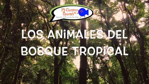Animals of the Rainforest in Spanish! (Narrated video!) DISTANCE LEARNING