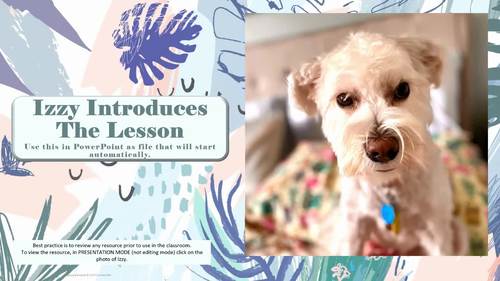 BULLYING PREVENTION UPSTANDER No Prep SEL LESSON 3 Video Social Skills ...