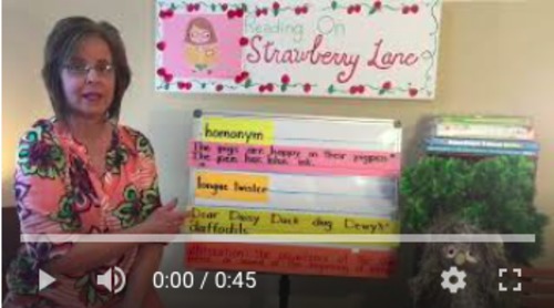 VIDEO: Reading: Set 1. Lesson 15. Word Family Pattern -eck | TPT