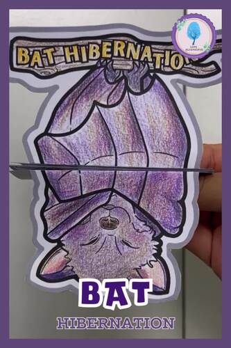 hibernating bat craft