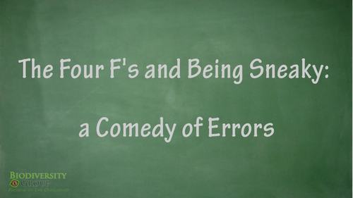 Silly Skits Video - Outside STEM / STEAM Safety & Ethics | TPT