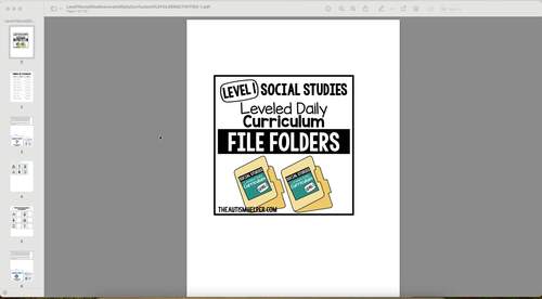 Level 1 Social Studies Leveled Daily Curriculum FILE FOLDER ACTIVITIES
