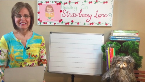 VIDEO: Reading: Set 1. Lesson 37. Word Family Pattern -im | TPT