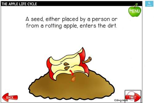 Apple Life Cycle Activities for Speech and Language BOOM CARDS ...