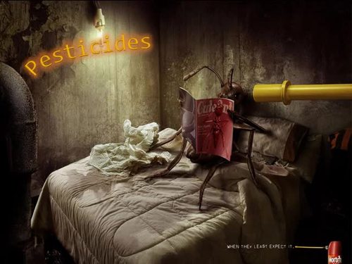 Pesticides [Powerpoint & Video Lesson] by Teacher In the Six | TPT