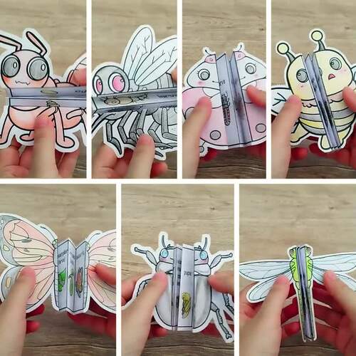 Insect Life cycle Bundle | Butterfly Beetle Bee Ladybug Ant Mosquito ...