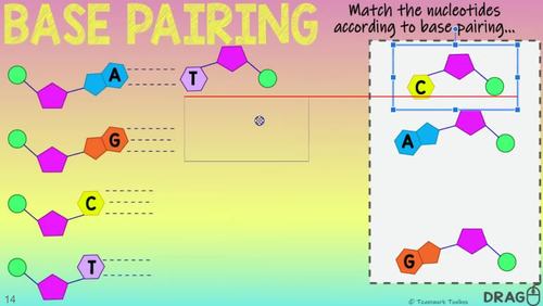 12 Topic BIOLOGY BUNDLE ~Interactive Digital Resources for Google Slides~