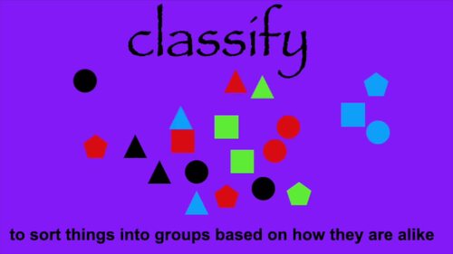 5 Bilingual Math Word Wall & Visual Vocabulary in English & Portuguese