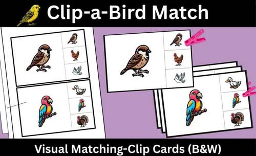 Back to School Clip Card Mega Pack – 300 Matching Activities for Fine ...