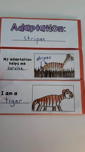 5 Animal Adaptations and Survival First Grade Science Activities and Craft