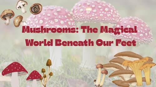 Mushrooms for Kids: Fun & Easy Intro Video (2 min) by Anastasiia Smirnova