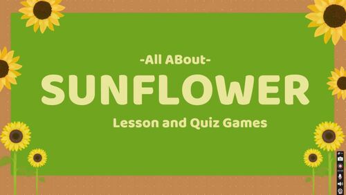 All About Sunflower PowerPoint Lesson and Quiz Primary for 1st 2nd 3rd 4th