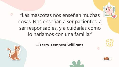 AP Spanish – Las Mascotas (Pets) by Learn Spanish with Miriam | TPT