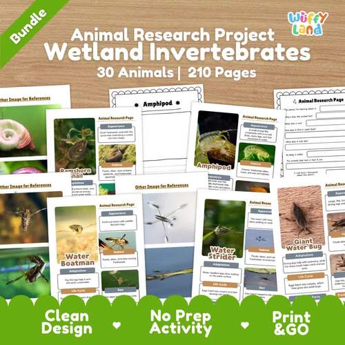 Animal Research Project Wetland Invertebrates Bundle | Science Reading ...