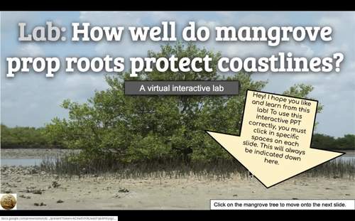Virtual AICE Marine Science Lab: Mangroves vs Sandy Beach Erosion w/Key