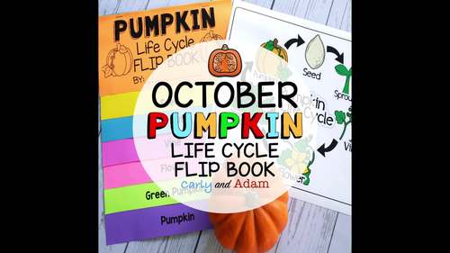 From Seed to Pumpkin Life Cycle Flip Book by Carly and Adam | TpT