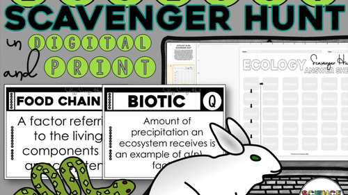 Ecology Review Scavenger Hunt Activity in Digital and Print | Distance ...