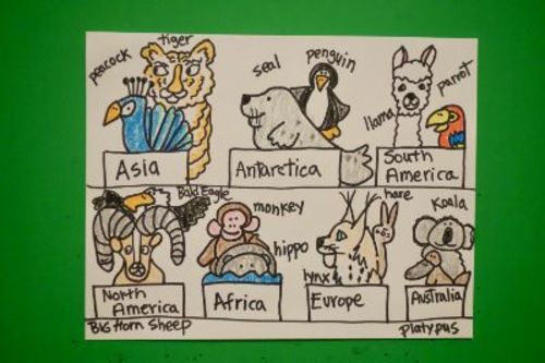 Let's Draw Animals of The Continents! by Patty Fernandez Artist | TPT