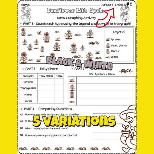 Data and Graphing Worksheets First & 2nd Grade Math Science Sunflower ...