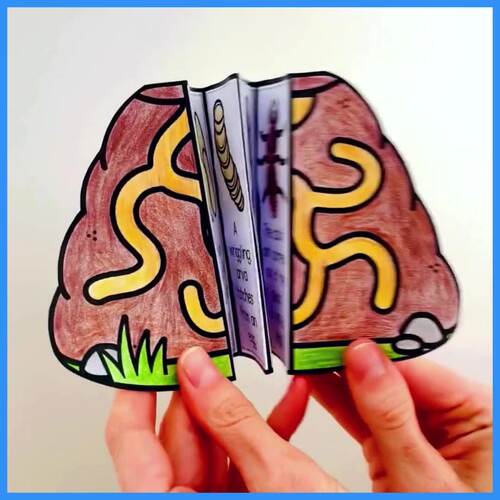 Insect life cycle sequence fold craft activities grasshopper ant mantis ...