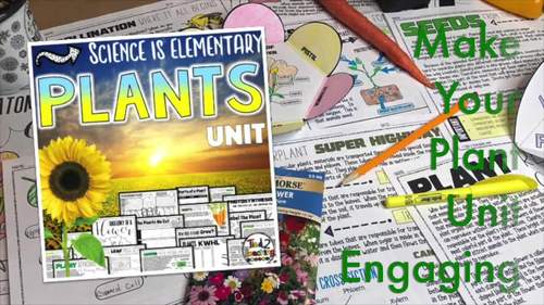 Plants Activities with Plant Lifecycle Parts of a Plant Science Plant ...