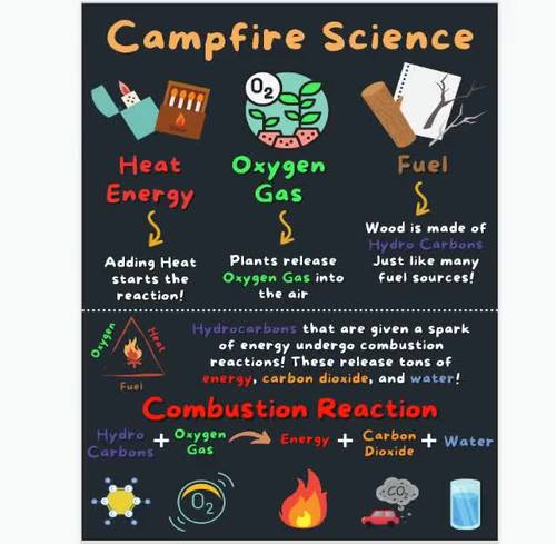 Summer Camping Experiment | Worksheets | activity | Fire combustion | Camp